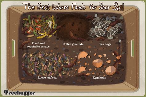 Vermicomposting Process Vermicomposting For Beginners Rodale