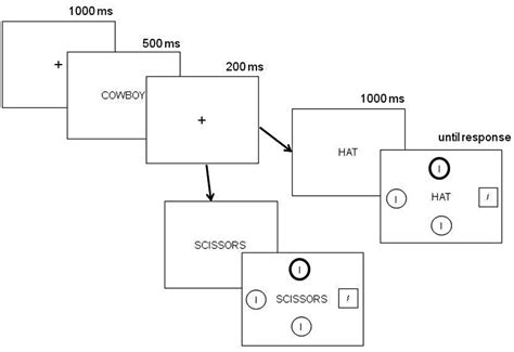 Sequence Of Events On A Sample Trial Of Experiment 1 The Top Sequence