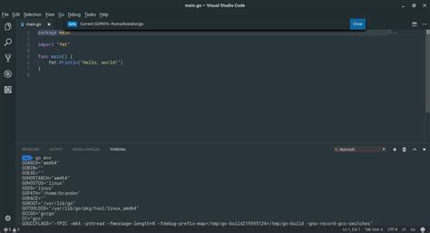 GOPATH From Zshenv Not Detected Correctly Issue Microsoft Vscode Go GitHub