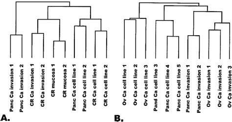 Relationships Among Samples Shown By Clustering Of Gene Expression A Download Scientific
