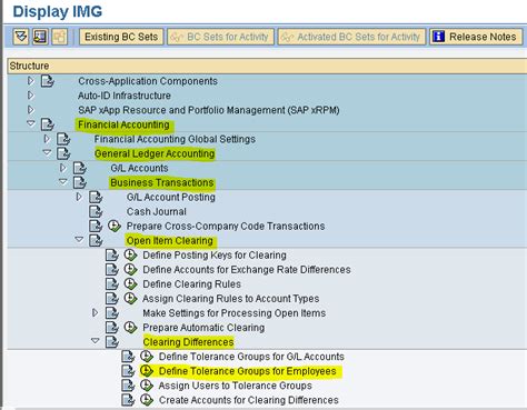sap fico module learning define tolerance group for employees and