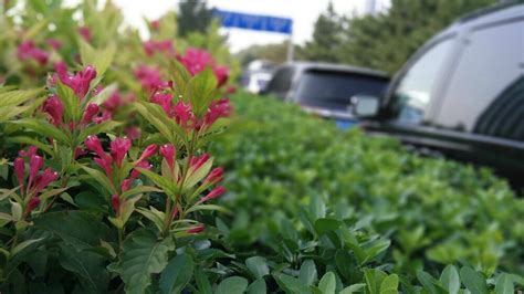 Review Xiaomi Redmi 5A Murah Tapi Enggak Murahan Dafunda Com