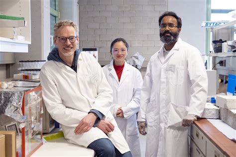 Experimental Soft Matter Physics Fstm Research Group I University Of Luxembourg