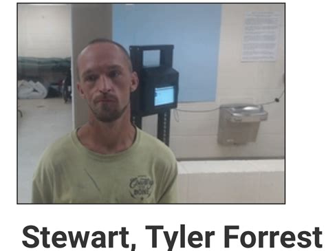 Stewart Tyler Forrest Monticello Live