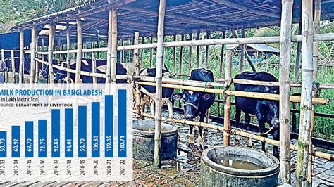 Celebrating World Milk Day 2023 The Daily Star