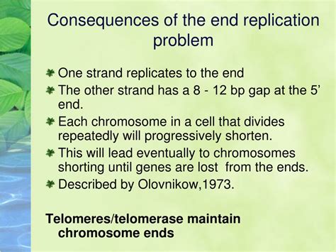 ppt telomeres and aging a comprehensive guide powerpoint