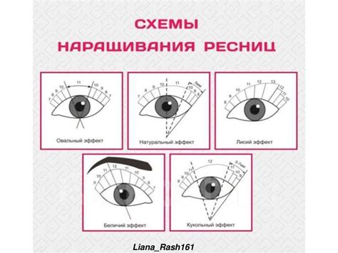 Базовый курс. Обучающий курс по наращиванию ресниц - презентация онлайн