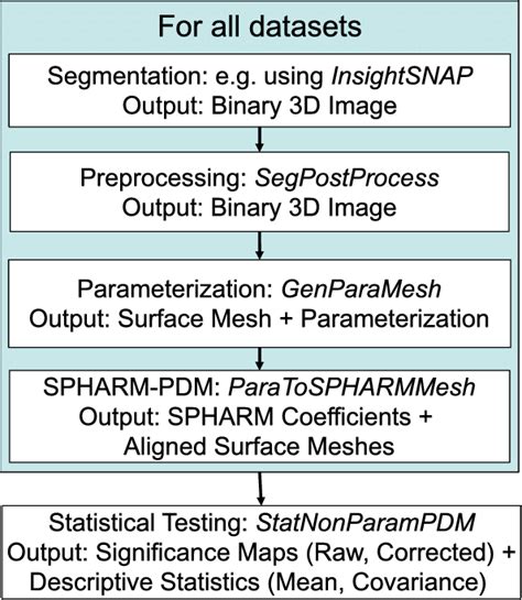 Workflow Of The Shape Analysis Pipeline Starting At The Segmentation Of Download Scientific