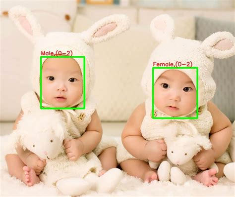 Learn Opencv Gender Age Classification Using Opencv Deep Learning C Python Gender