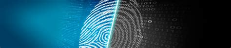 Steps To Prevent A Data Breach And Keep Your Company Secure Syntax
