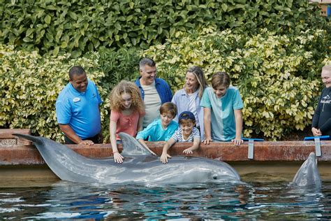 Seaworld Launches Vip Tour In Orlando San Diego San Antonio