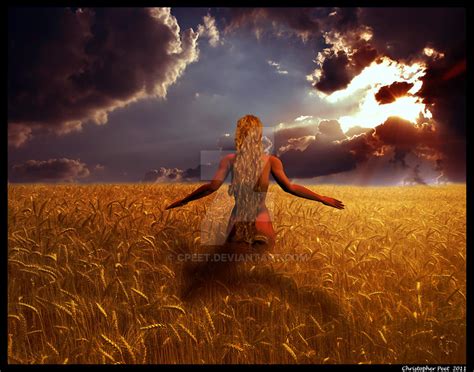 Amber Fields  By Cpeet On Deviantart