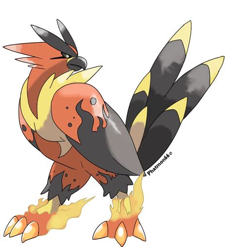 Mega Talonflame Fireflying Pokemon Fusion Art Pokemon Pokemon