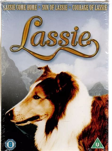 Lassie Film The Two Movie Dogs Lassie And Jack Russell Terrier Pippa