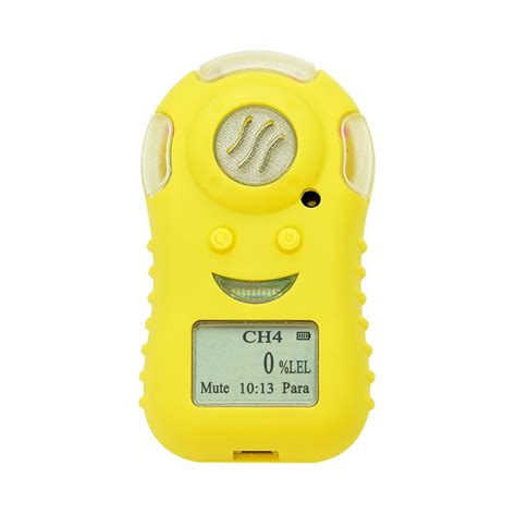 China Portable H S Gas Detector Manufacturers Suppliers Buy Portable