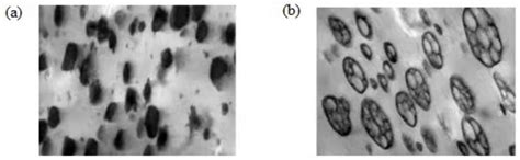Abs Pla Acrylonitrile Butadiene Styrene Polylactic Acid Alloy Material As Well As Preparation