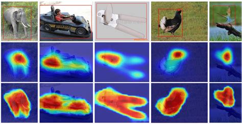 Visualization Of The Localization Maps With Cam [15] Middle Row And Download Scientific