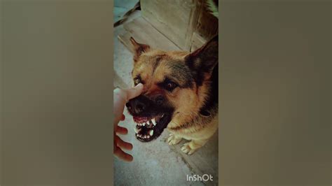 لمن تهدي هاذا الفيديو 😂 Youtube