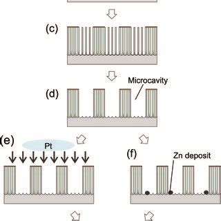 SEM Images Of Ni Micropillar Arrays With High Aspect Ratios Download Scientific Diagram