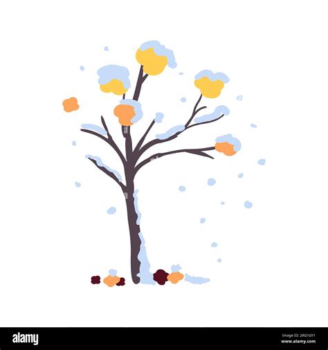 Seasons Trees In Different Periods Vector Illustration Concept Of Change Of Seasons Spring
