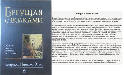 Что почитать для саморазвития женщине - 12 лучших книг на год
