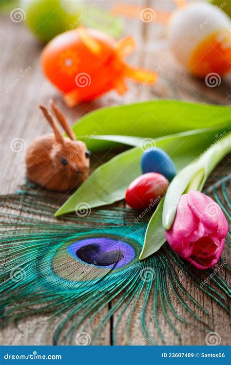 Tulippeacock Feather And Easter Eggs Stock Image Image Of Tradition Holzstruktur 23607489
