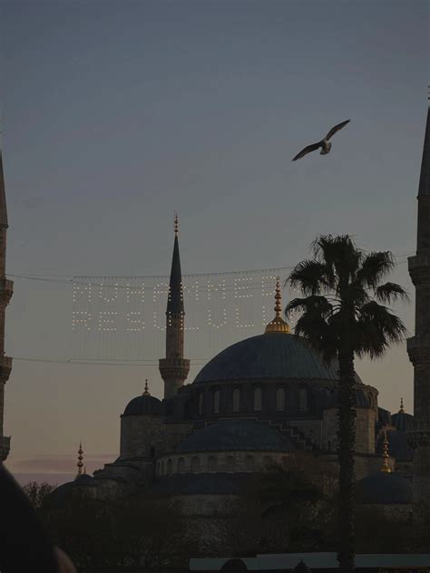 areeba warsi on linkedin ramadanreflection eidmubarak