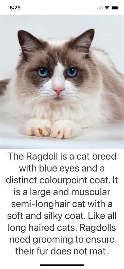 Adaptive Autolayout Programmatically For Iphone X Using