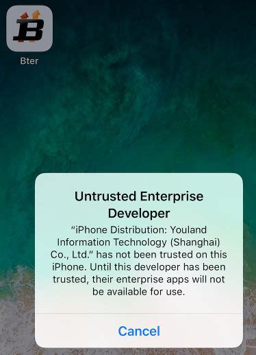 Ios Is It Safe To Install And Use App From ”untrusted Developer