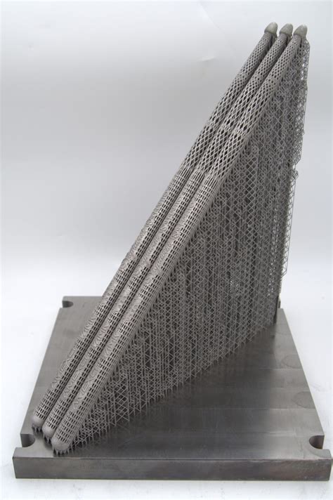 Customized Lattice Structures Produced With NTop AMEXCI