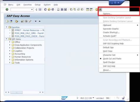 SAP GUI Customization SAP Online Guides