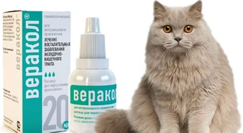 Веракол для кошек: инструкция по применению, отзывы, аналоги