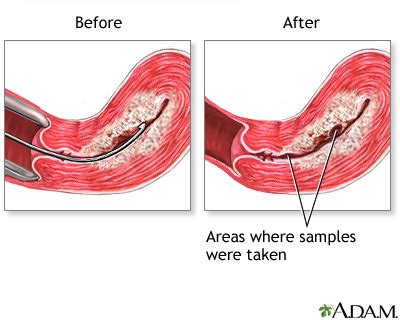 HIE Multimedia D And C