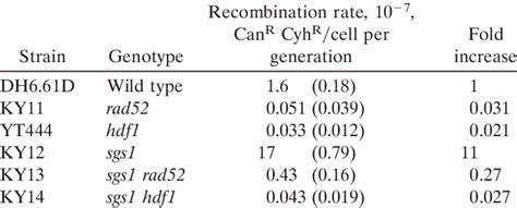effect of sgsi mutation on illegitimate recombination in ycpl2 plasmid