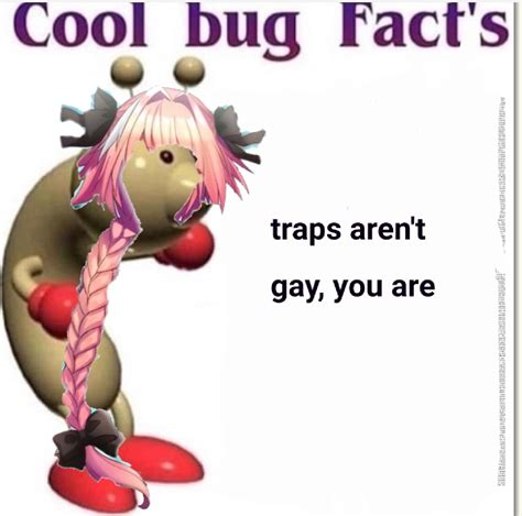 Bug Speaks The Truth R CoolBugFacts