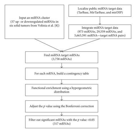 Flowchart Of The Computational Method For Identifying Significant Mirna Download Scientific
