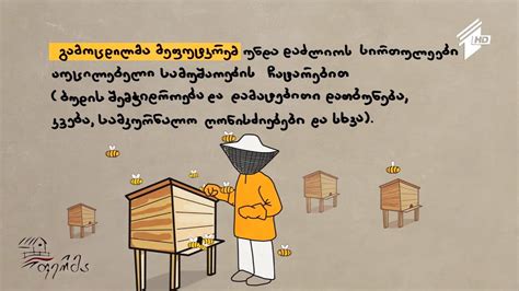 ფუტკრის ოჯახის მოვლა და განვითარება წლის პირველ ნახევარში Youtube