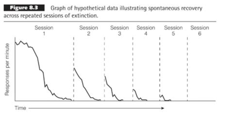 Ch 8 Extinction Flashcards Quizlet