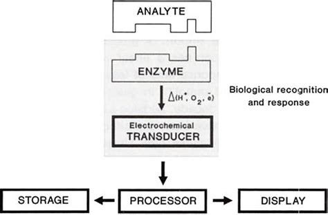 Schematic Representation Of The Glucose Sensor Used In Currently Download Scientific Diagram