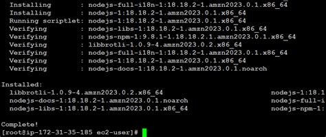 How To YUM Install Node JS On Amazon Linux GeeksforGeeks