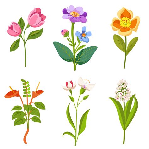 Vector Illustration Featuring Six Different Types Flowers Plants