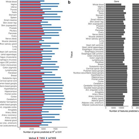Gene Prediction Comparison Across 48 Gtex Tissues A Number Of Genes