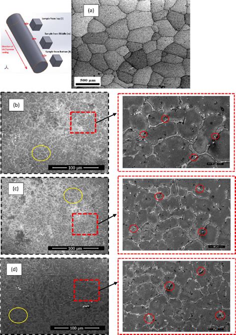 Fesem Microstructure Of Aa 2014 With A Ingot In As Procured