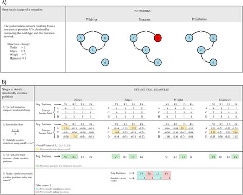 Protein Structure Networks Plos One