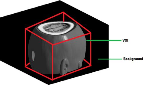 extracted volume of interest voi using selective bounding volume