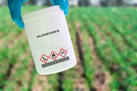 Chemicals Used To Control The Growth Of Algae In Water Bodies Or