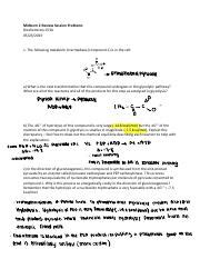 Understanding Biochemistry A Midterm Review Session Course Hero