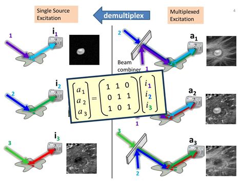 Ppt Multiplexed Fluorescence Unmixing Powerpoint Presentation Free Download Id2209189