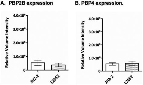 Meropenem Plus Ceftaroline Is Active Against Enterococcus Faecalis In An In Vitro