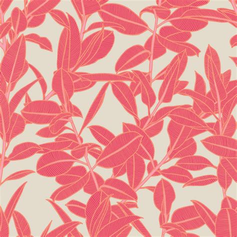 Rubbery Leaf Wallpaper Wallpaper Lane